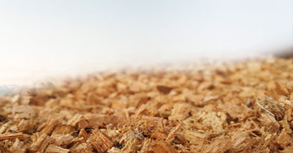 Coco Coir Bedding- A sustainable bedding Choice - The Barnyard Supply Co