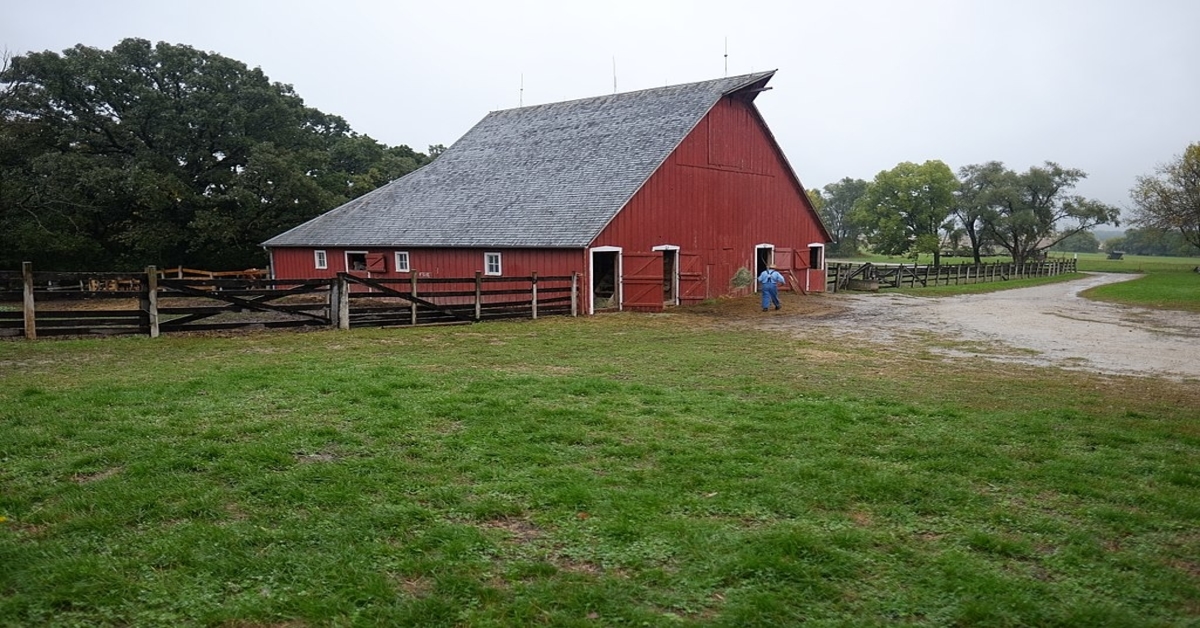 Daily life at barn - The Barnyard Supply Co