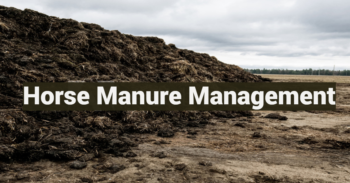 3 Factors of Horse Manure Management - The Barnyard Supply Co