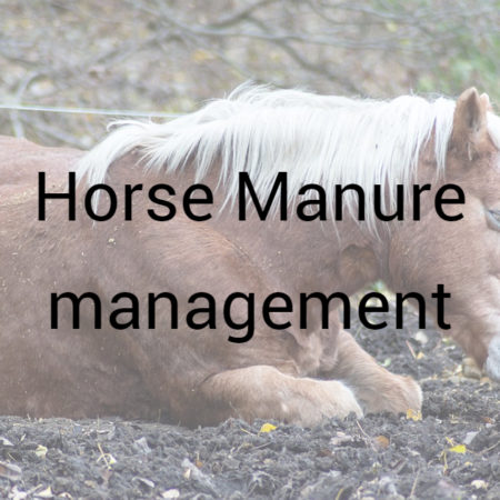 3 Factors of Horse Manure Management - The Barnyard Supply Co
