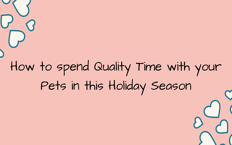 How to spend Quality Time with your Pets in this Holiday Season - The ...